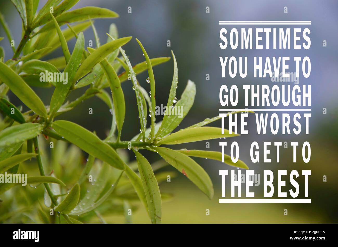 Inspirational and motivational quote. Phrase SOMETIMES YOU HAVE TO GO ...