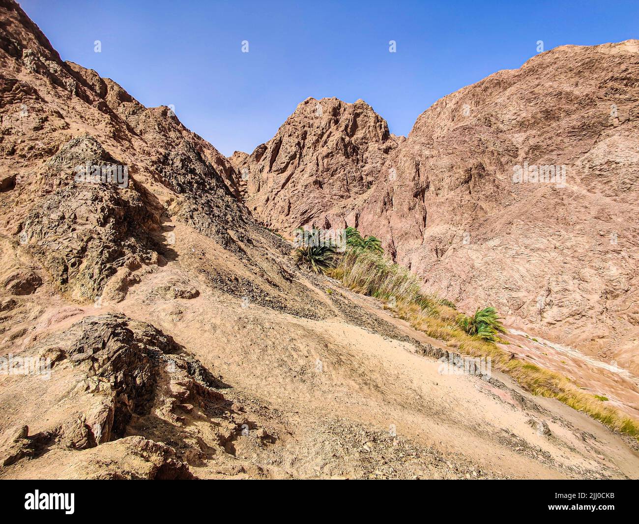 Beautiful Oasis in the desert with palm and mountain view in Dahab ...