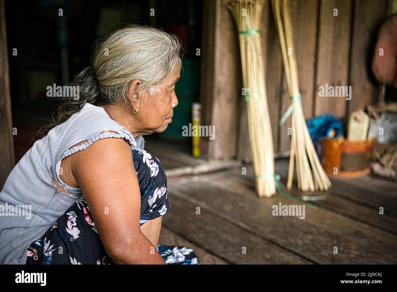 Chini, Malaysia: 19 April 2022 - A close-up profile of a single ...