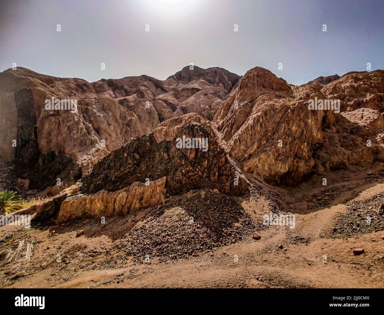 Beautiful Oasis in the desert with palm and mountain view in Dahab ...