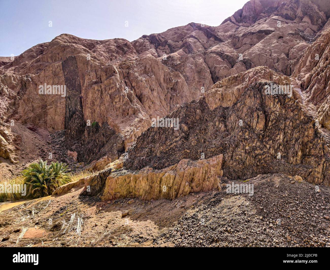 Beautiful Oasis in the desert with palm and mountain view in Dahab ...
