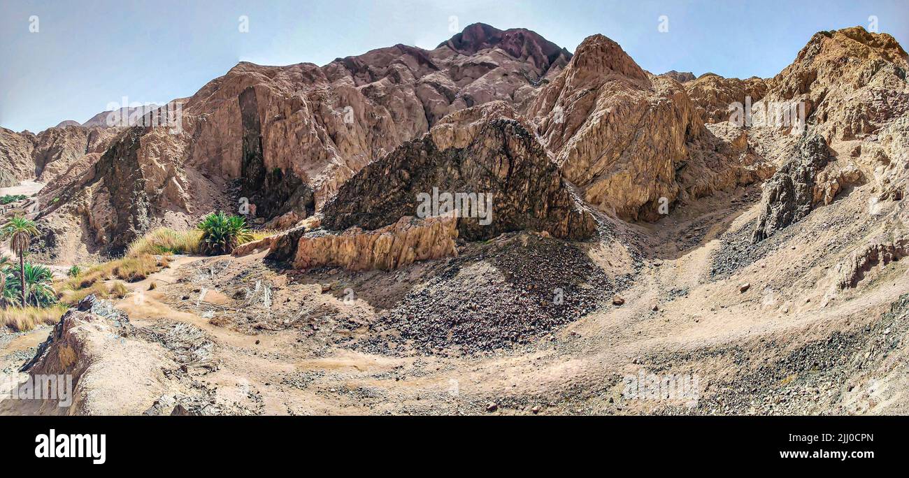 Beautiful Oasis in the desert with palm and mountain view in Dahab ...