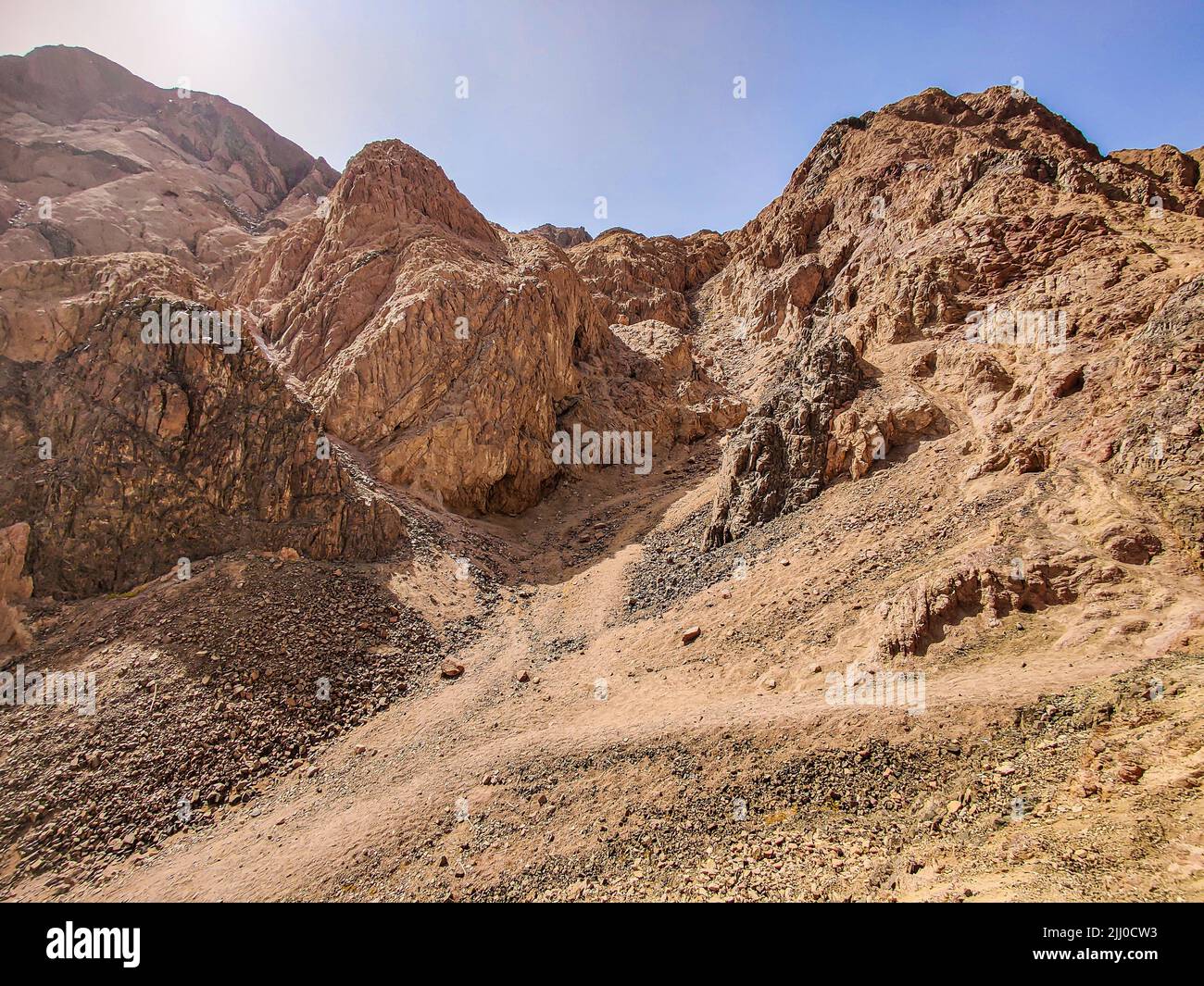 Beautiful Oasis in the desert with palm and mountain view in Dahab ...