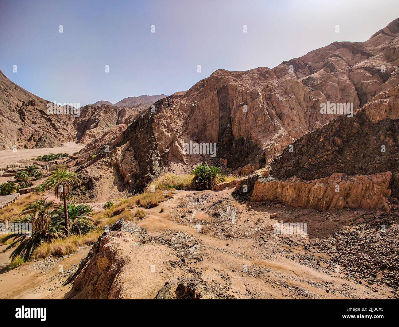 Beautiful Oasis in the desert with palm and mountain view in Dahab ...