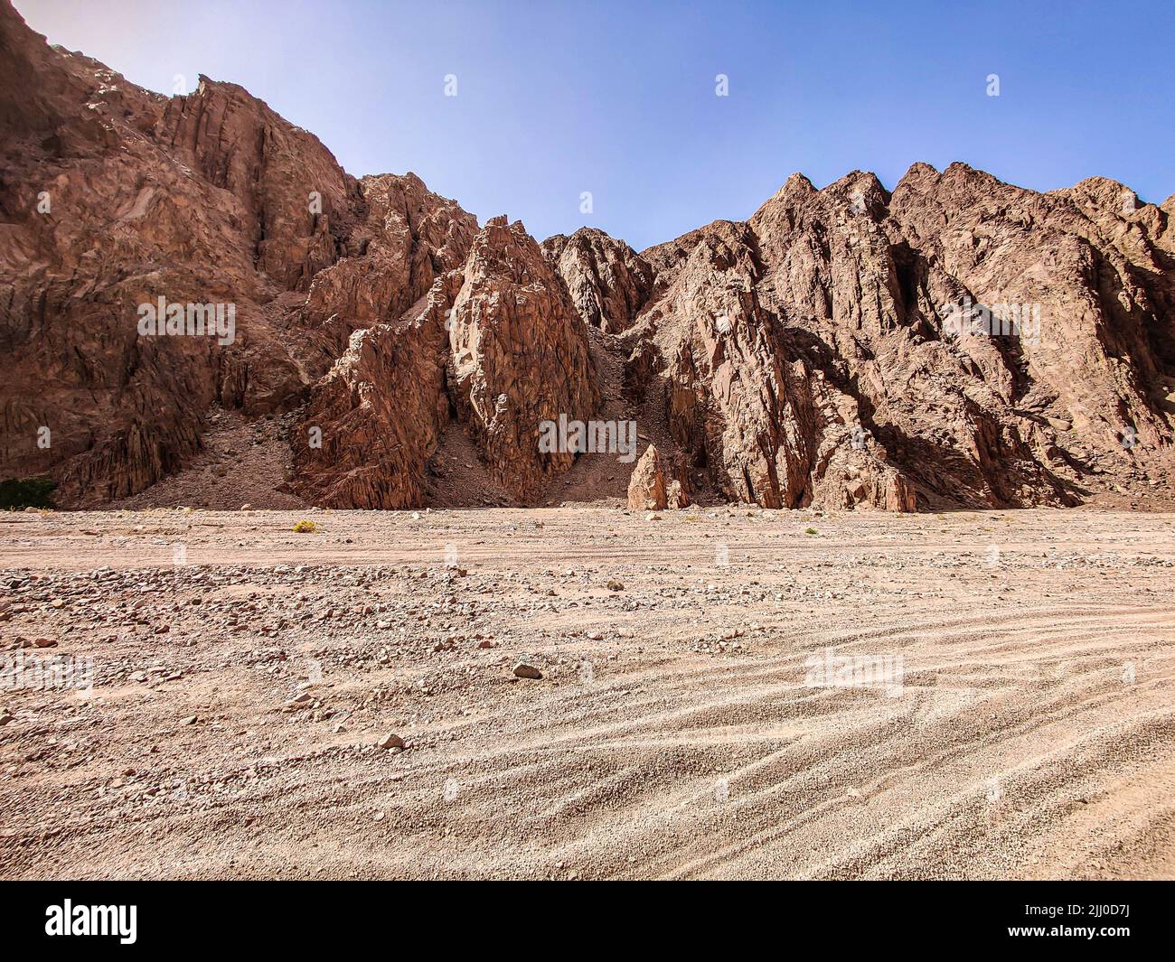 Beautiful Oasis in the desert with palm and mountain view in Dahab ...
