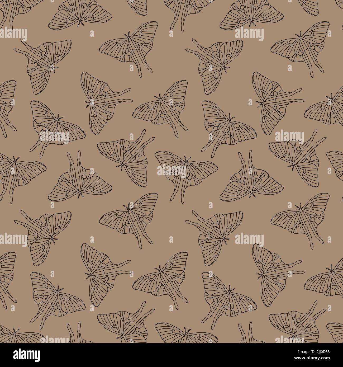 Moth clothes illustration hi-res stock photography and images - Alamy