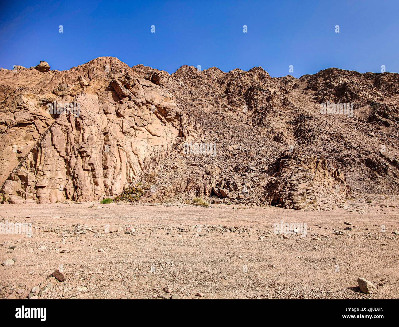 Beautiful Oasis in the desert with palm and mountain view in Dahab ...