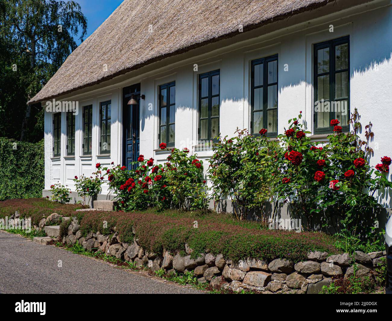 Exterior roses hi-res stock photography and images - Alamy