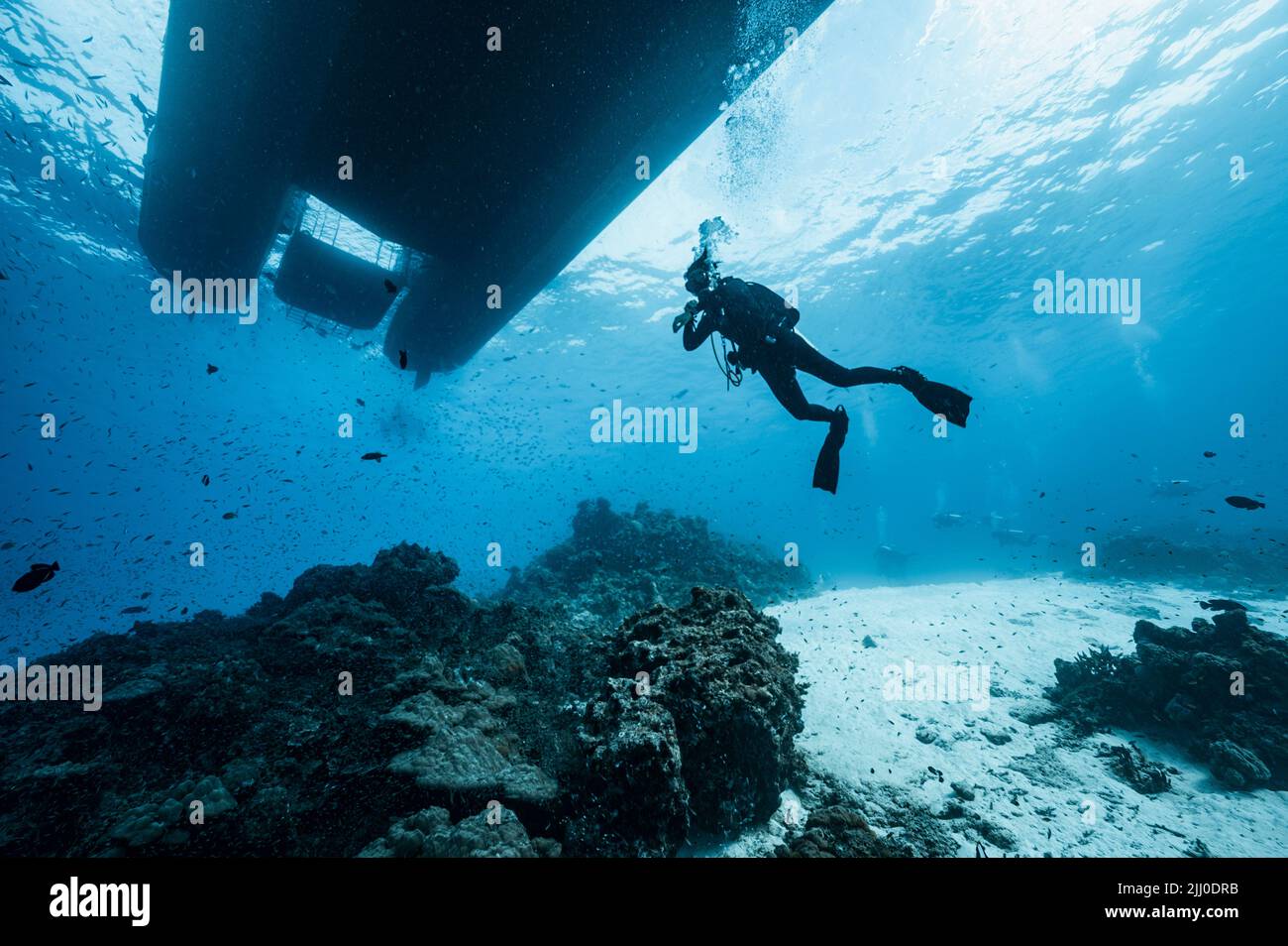 Woman underwater dive bubbles hi-res stock photography and images - Alamy