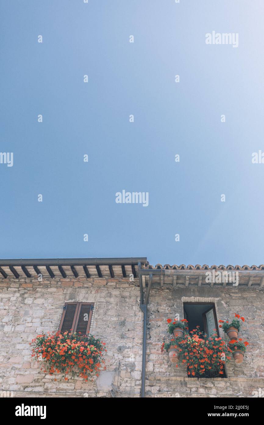 Hanging from windows hi-res stock photography and images - Alamy