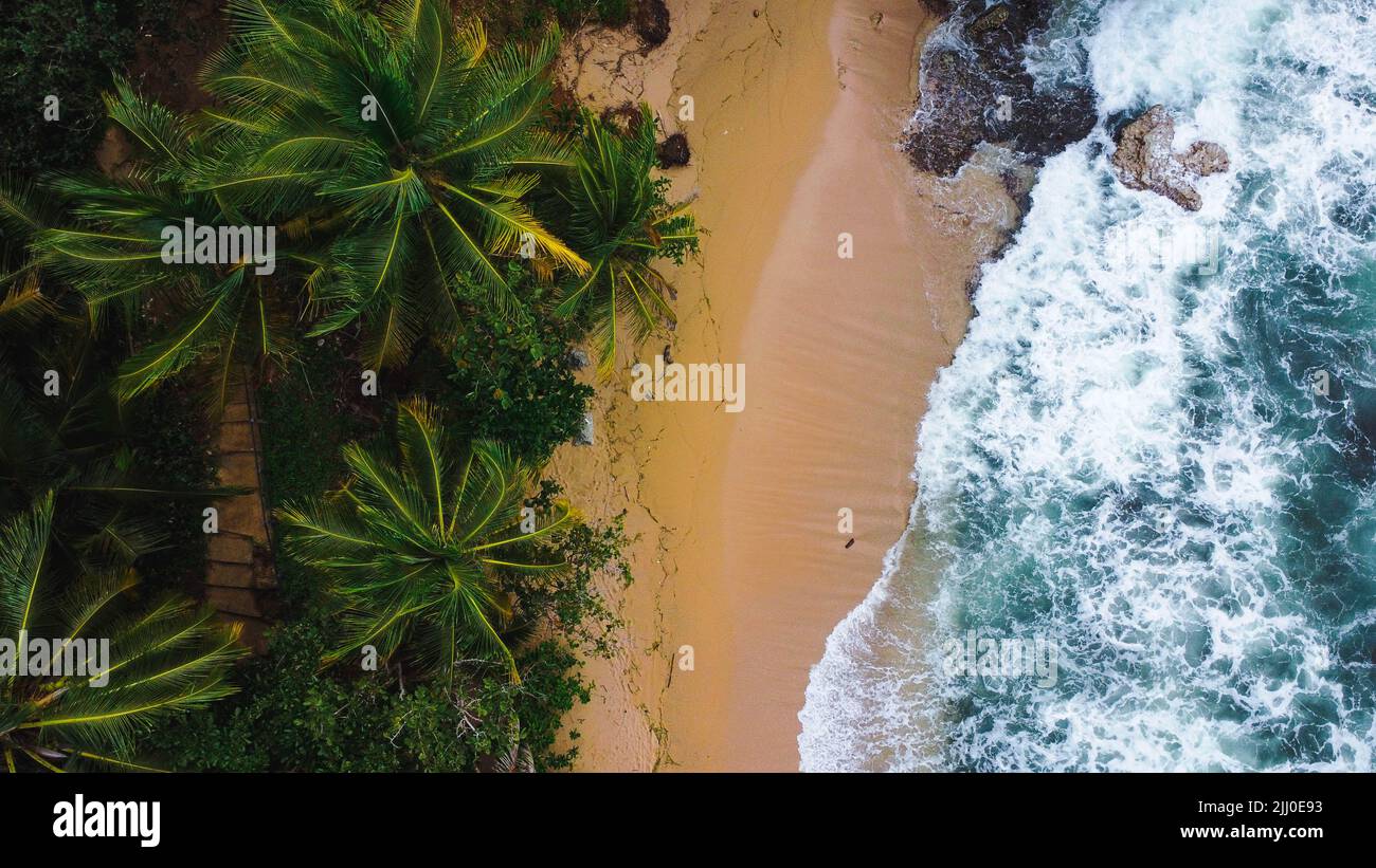 drone view of half beach half jungle of Costa Rica Stock Photo - Alamy