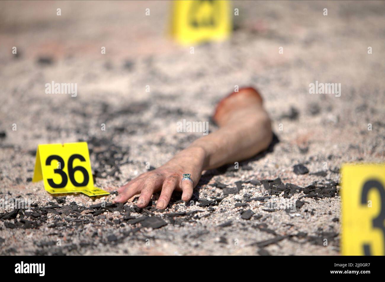 SEVERED ARM, EVIDENCE, 2013 Stock Photo - Alamy