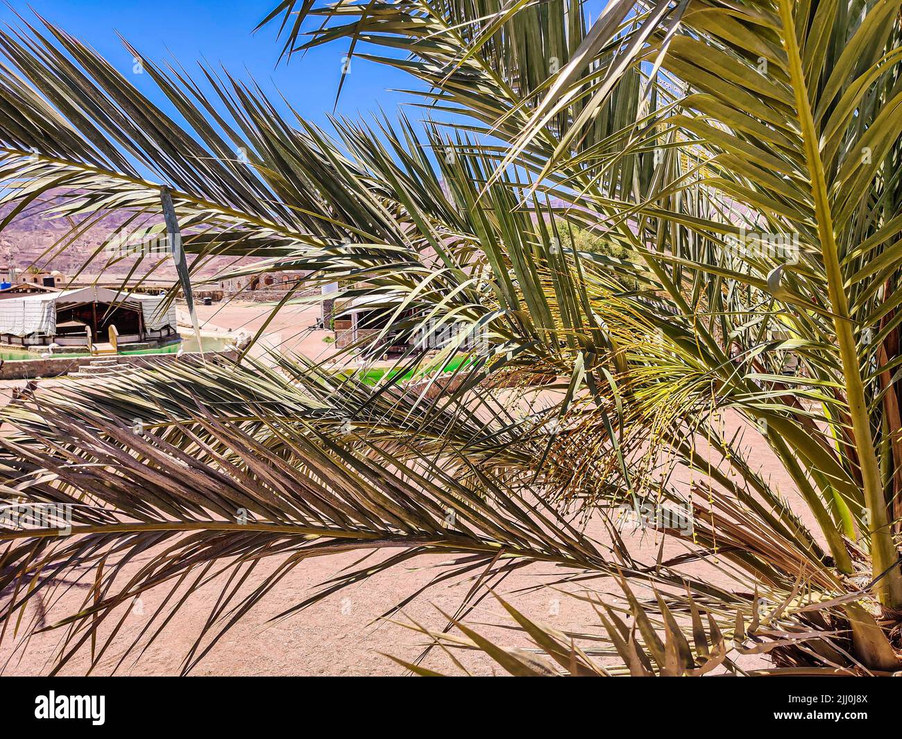 Cottage in a Bedouin Camp on the Sea in Ras Shitan in Oasis in Sinai ...