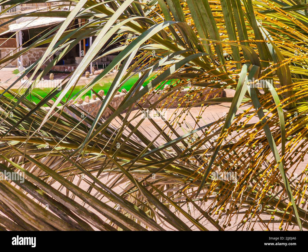 Cottage in a Bedouin Camp on the Sea in Ras Shitan in Oasis in Sinai ...