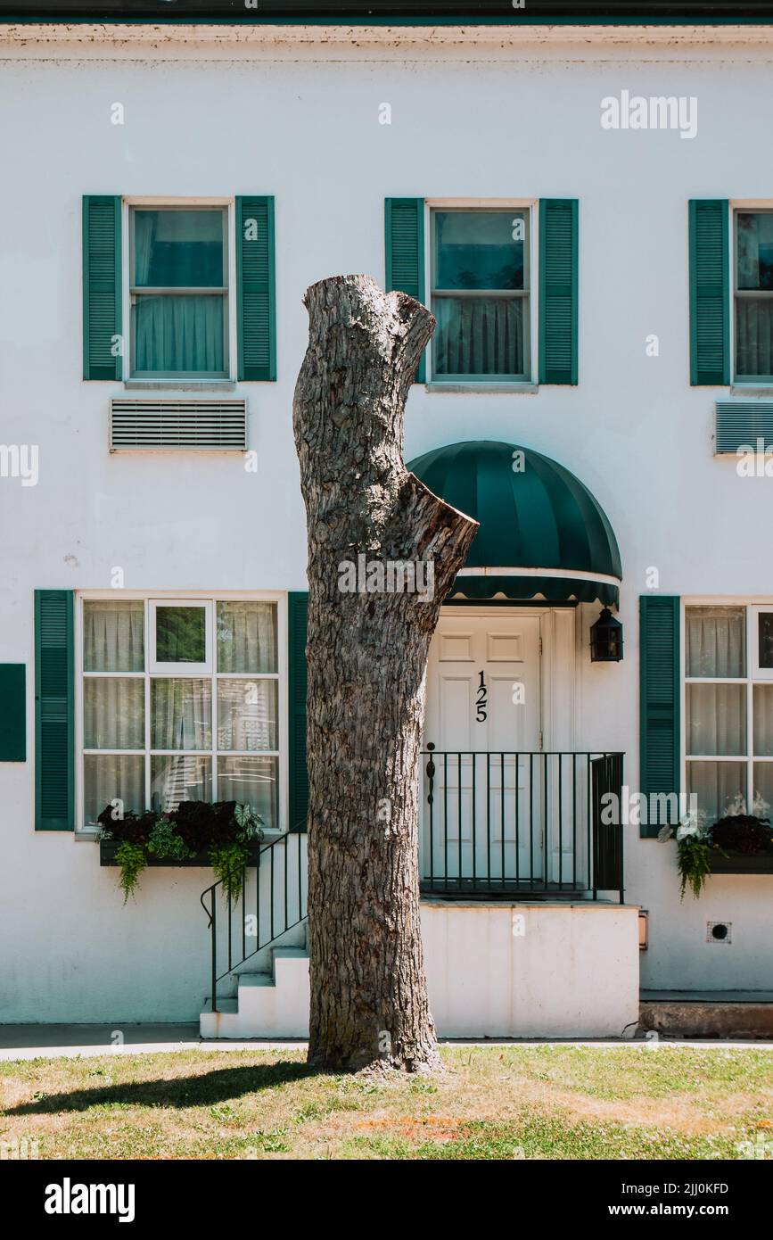 A chopped tree in front of a house Stock Photo - Alamy