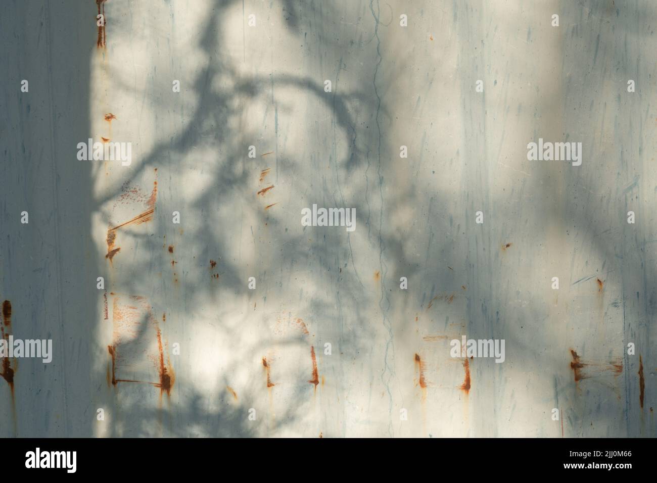 tree shadow on old faded wall Stock Photo - Alamy
