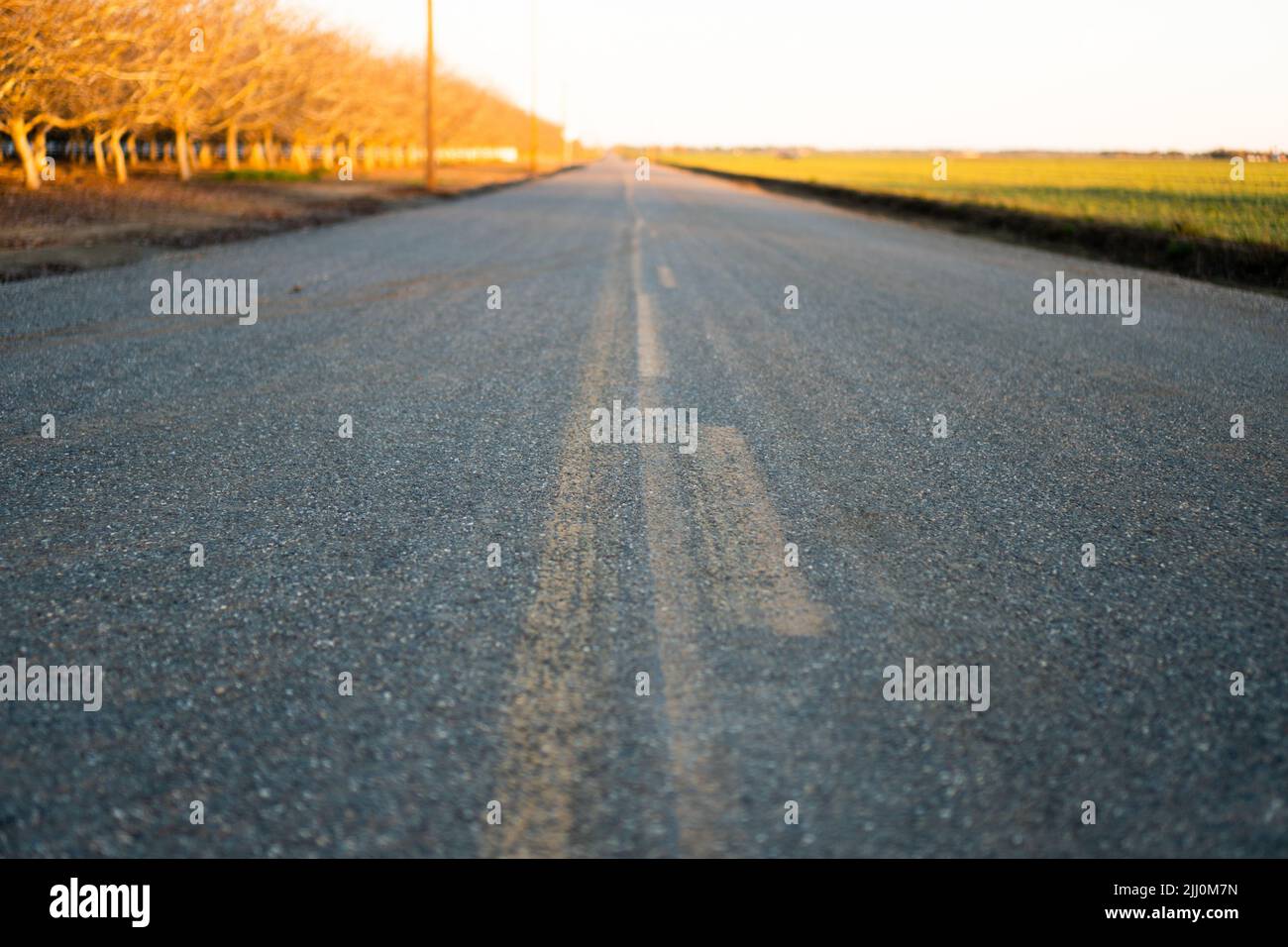 rural country road into distance with orchard Stock Photo - Alamy