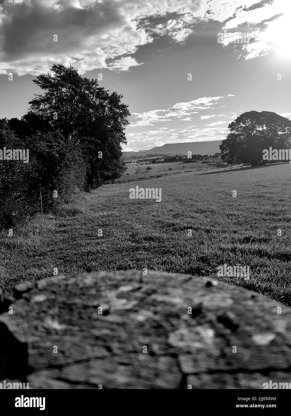 The grayscale of rural field landscape view, vertical Stock Photo - Alamy