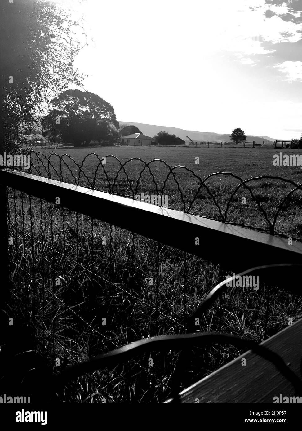 The grayscale of house gate fence in the countryside, vertical Stock ...