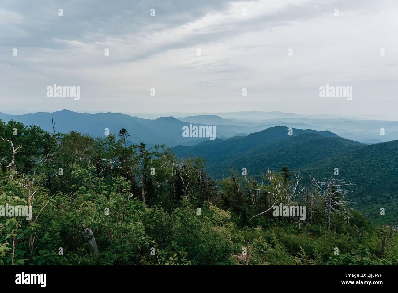 Falaza hi-res stock photography and images - Alamy