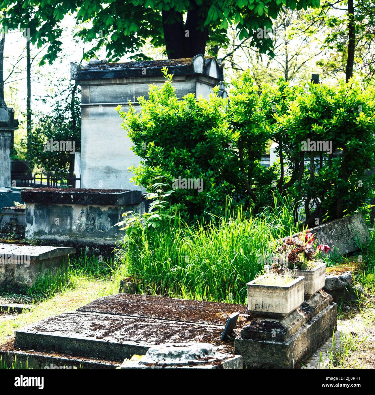 Tombstones in cemetery at dusk, gothic style crosses Paris Stock Photo ...