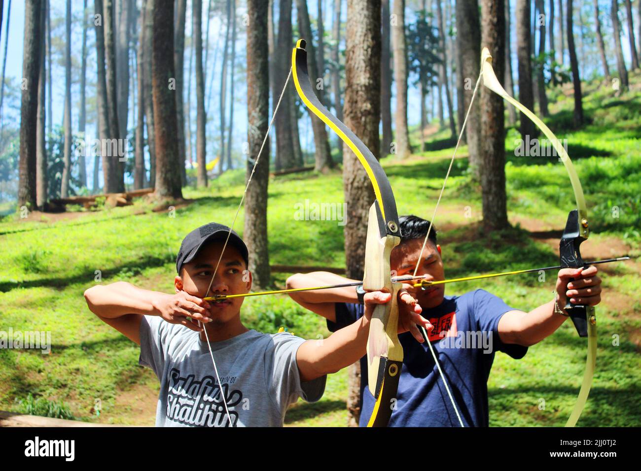 Some teenager are seen doing archery in the pine forest area which ...