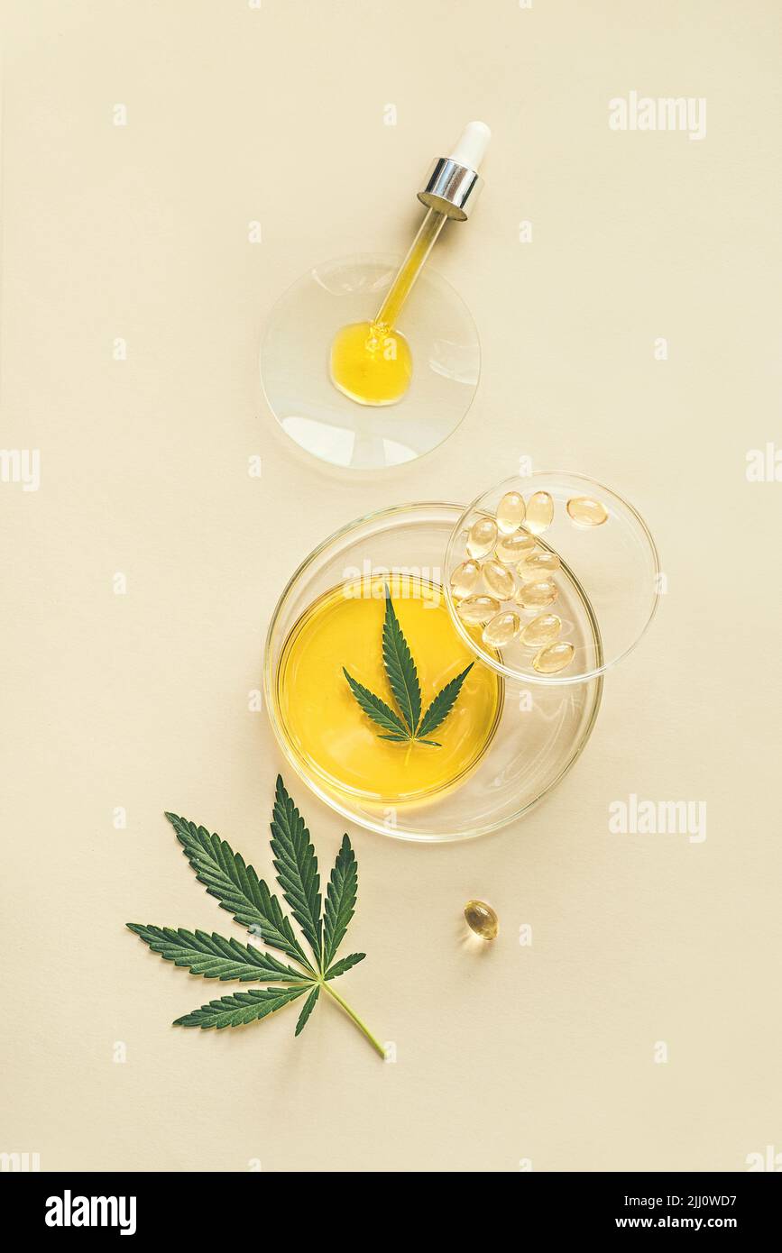 CBD oil in a pipette, THC tincture in laboratory round cups and ...