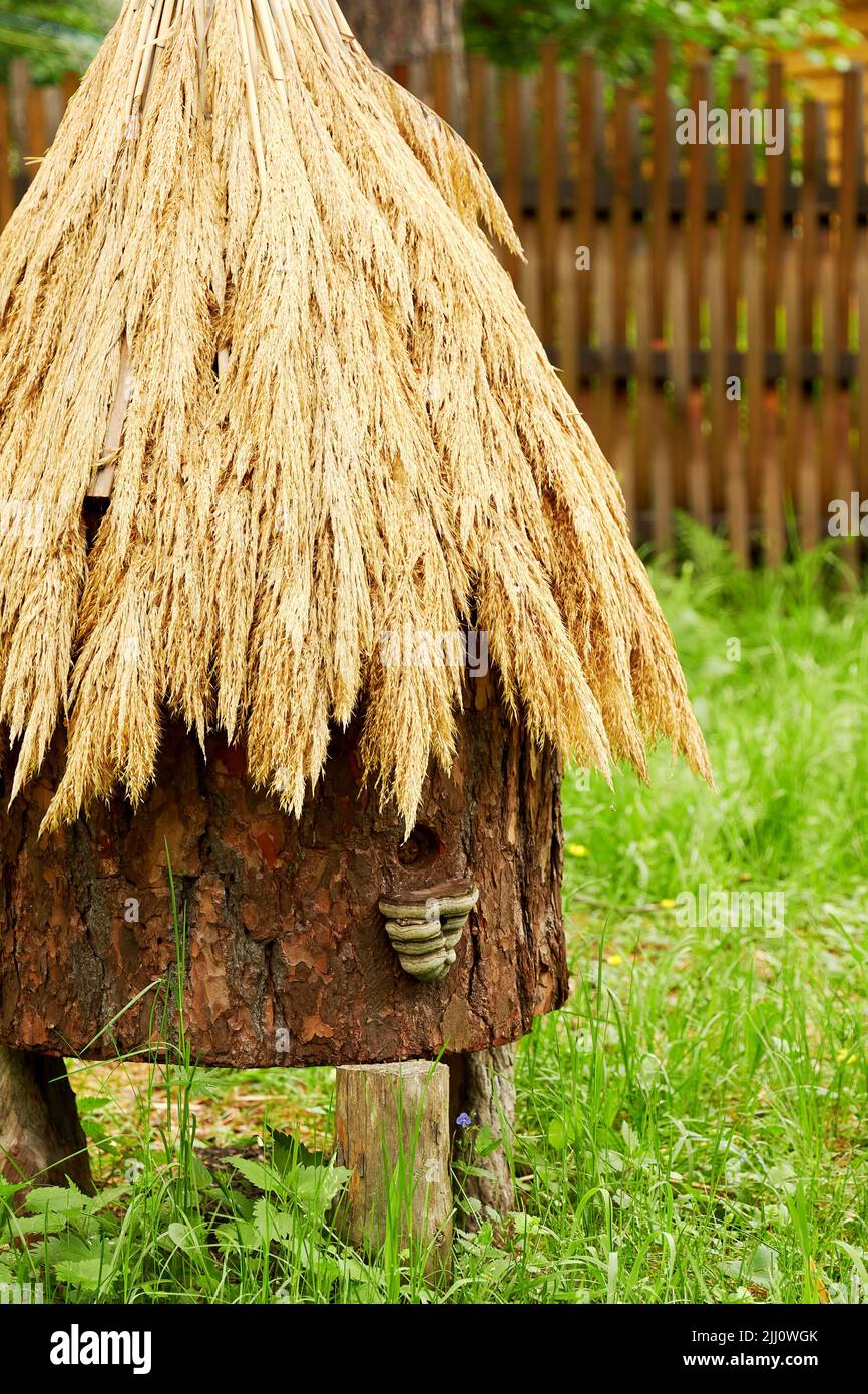 Ancient traditional beehive with hay roof. Honey harvesting, beekeeping ...