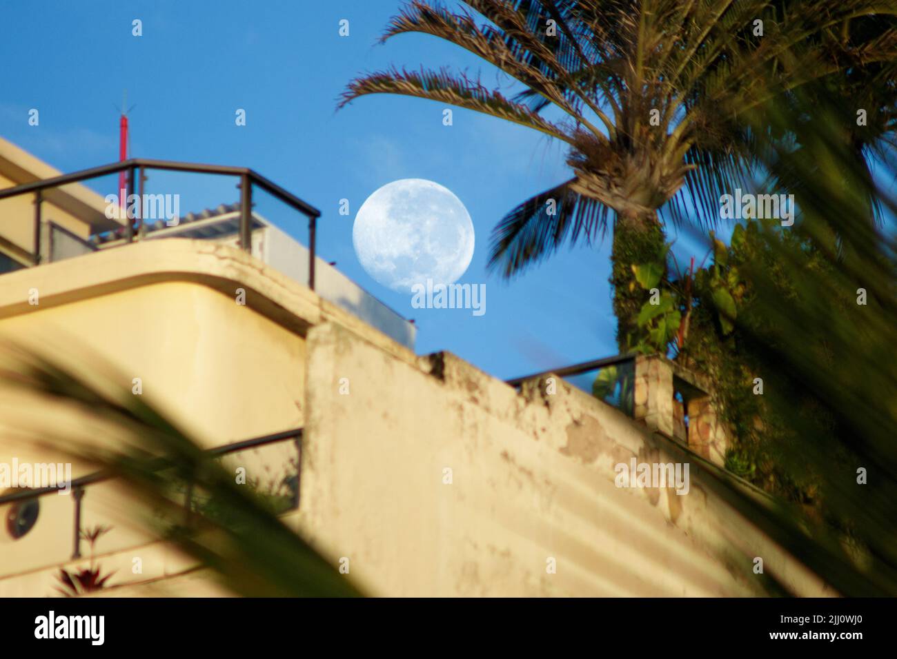 Cosmos rio de janeiro hi-res stock photography and images - Alamy