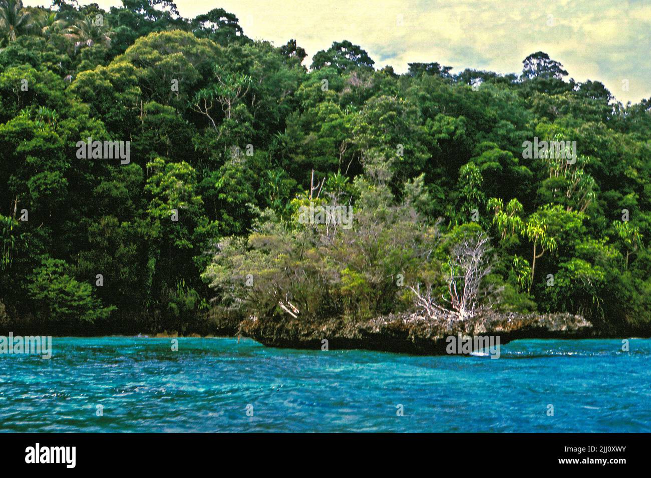 A part of Kakaban Island is seen from the sea within Berau Marine ...