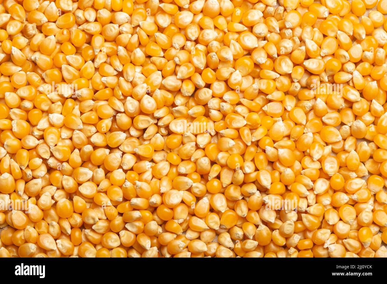 pile of corn kernels for popcorn, top view Stock Photo - Alamy