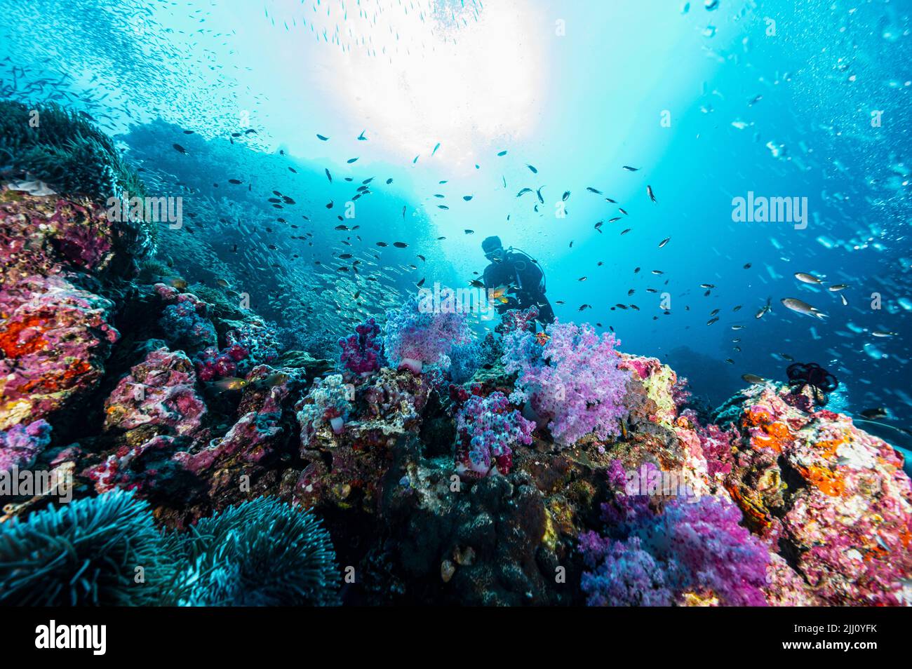 Man diving into sea hi-res stock photography and images - Alamy