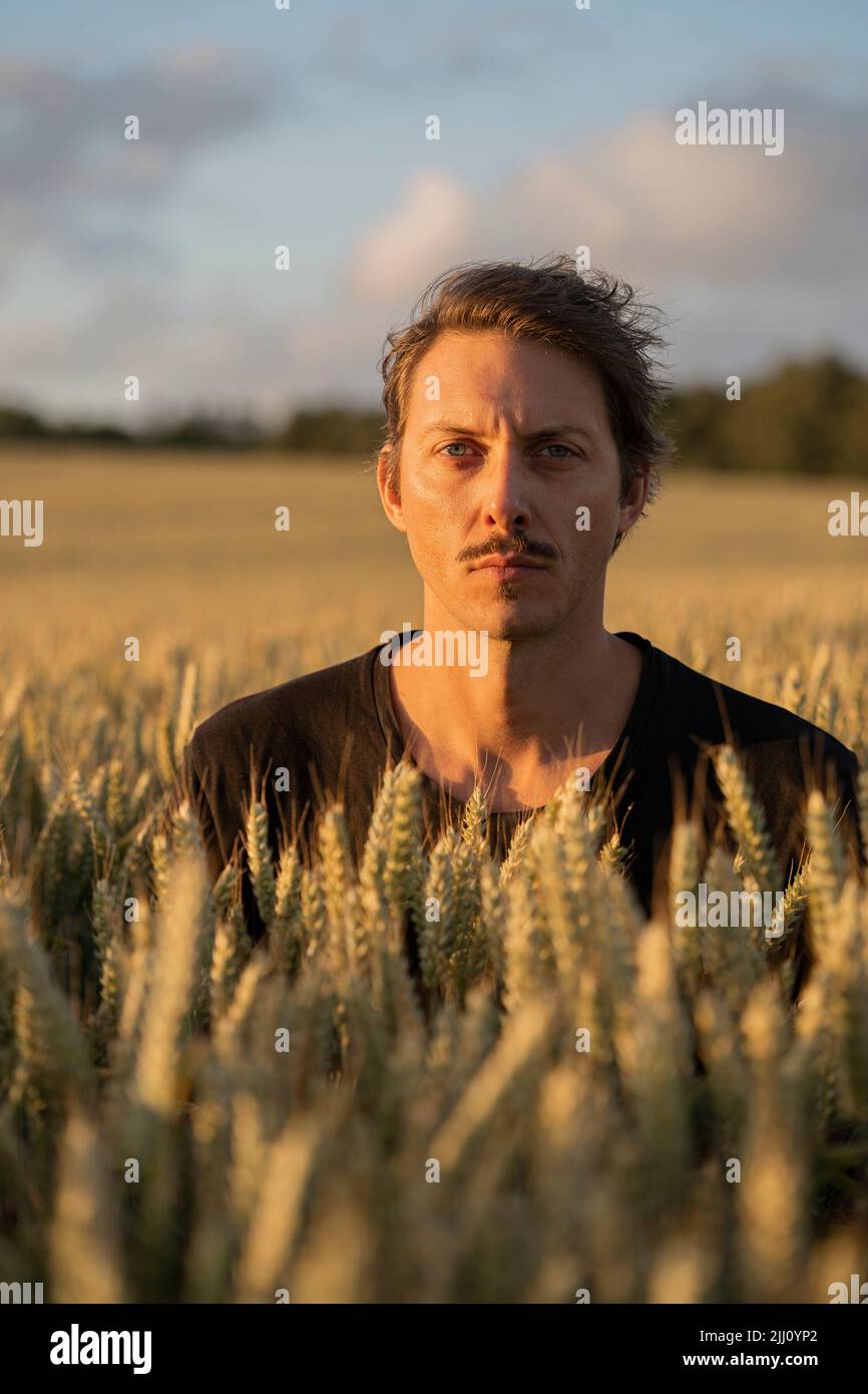 Farmer businessman in wheat hi-res stock photography and images - Alamy