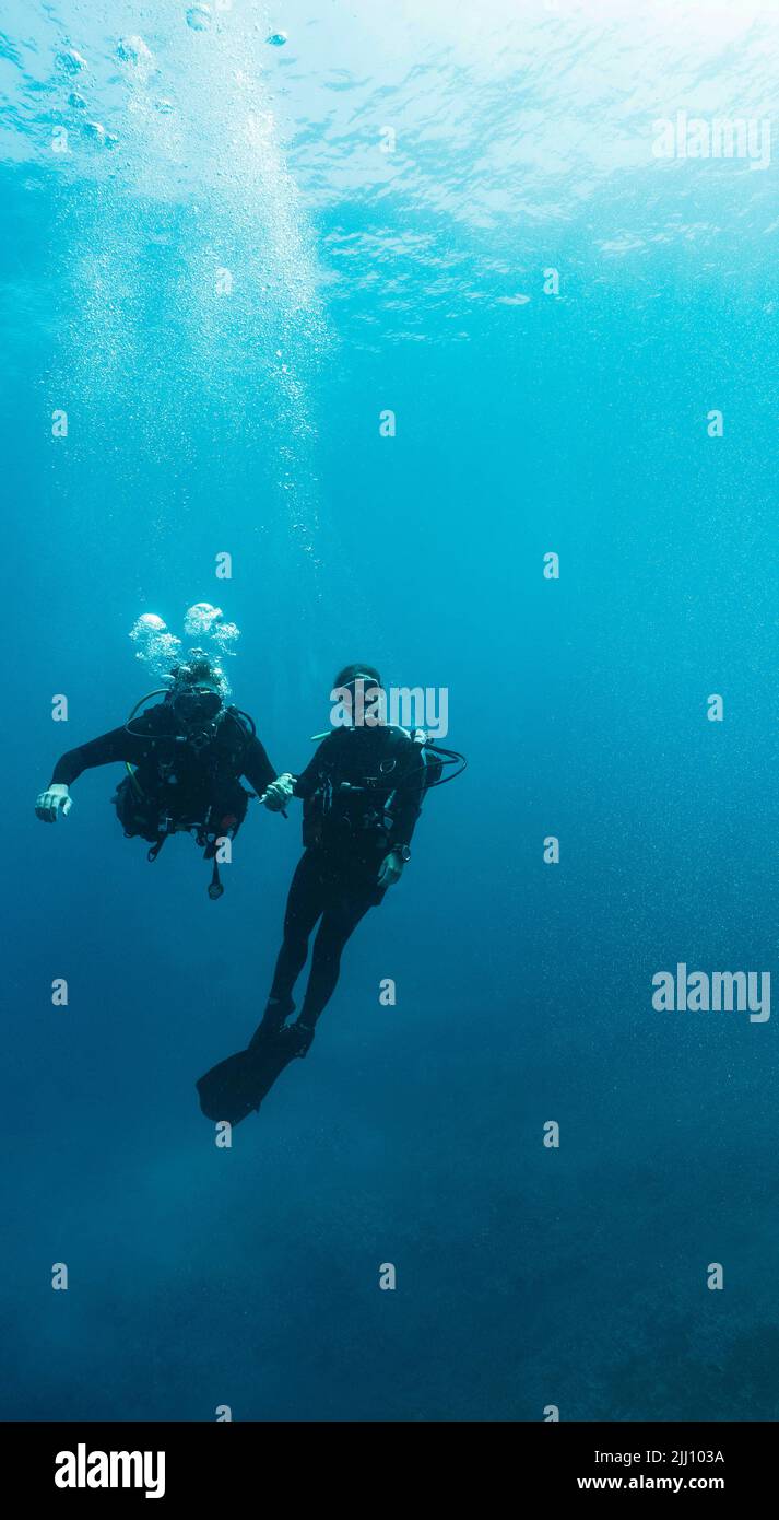 couple diving in the clear water at the Tubbataha Reef Stock Photo - Alamy