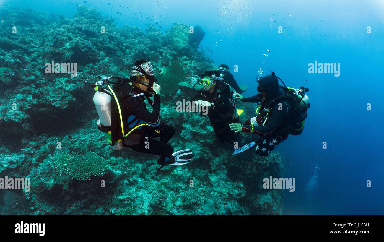 Scuba divers underwater exploring tropical hi-res stock photography and ...