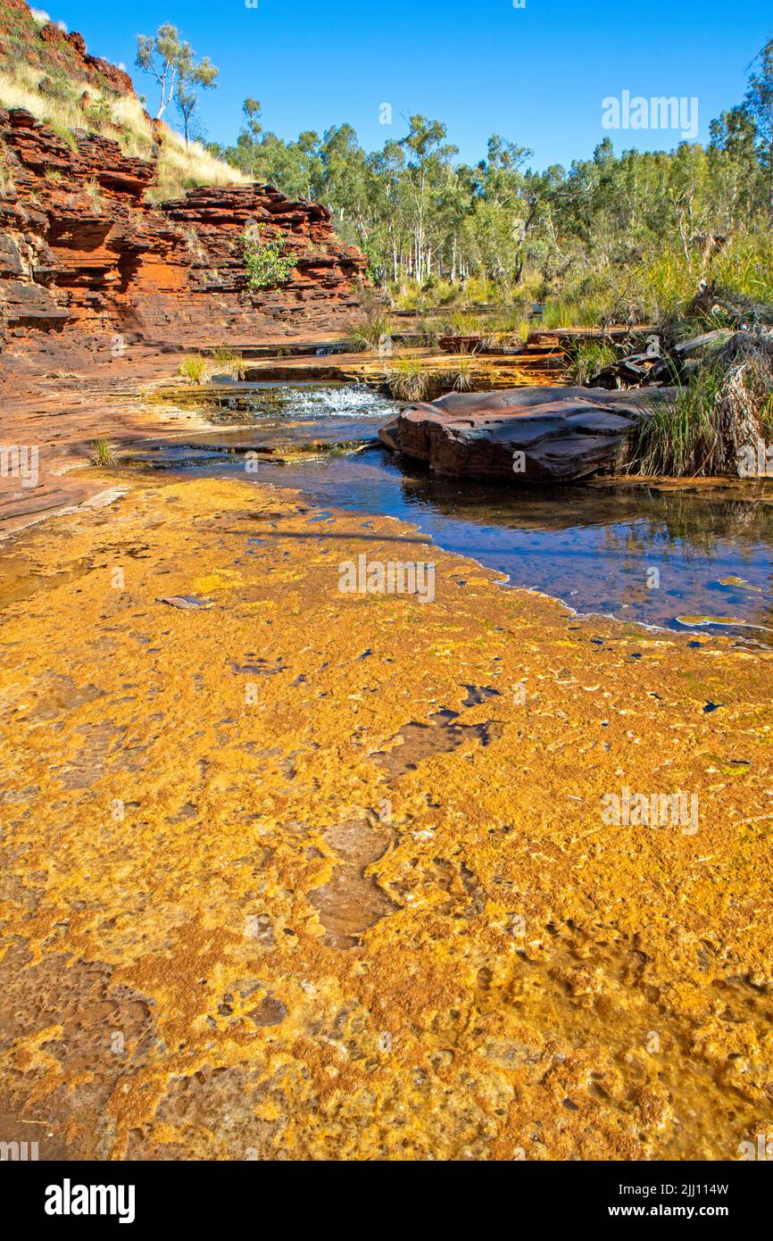 Kalamina gorge hi-res stock photography and images - Alamy
