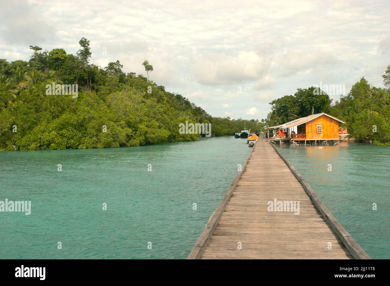 Wooden jetty above coastal water of Maratua Island, which is a part of ...