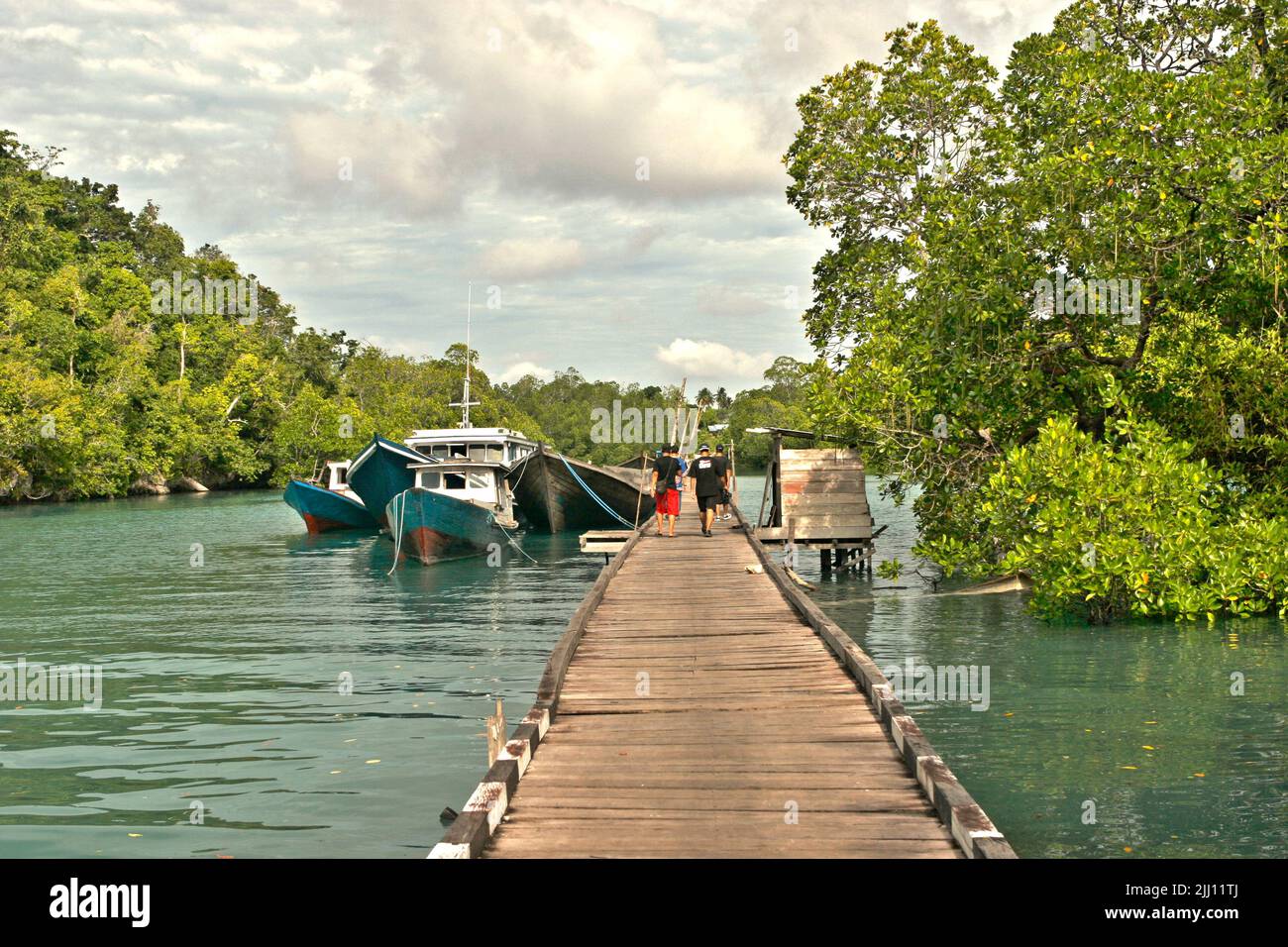 Wooden jetty above coastal water of Maratua Island, which is a part of ...