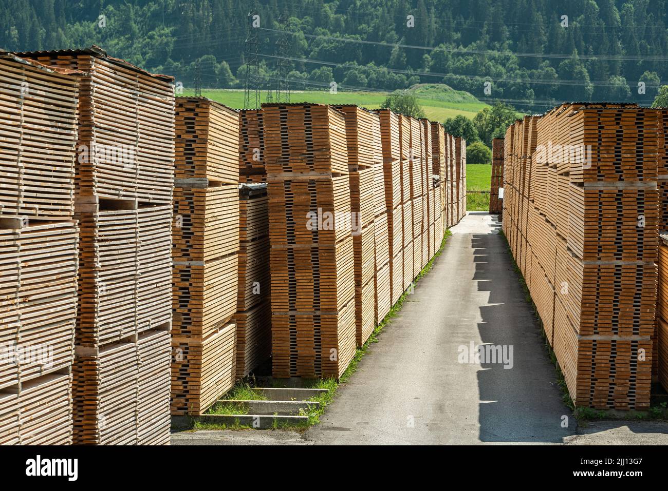 Lots of planks stacked on top of each other in the warehouse. Lumber ...