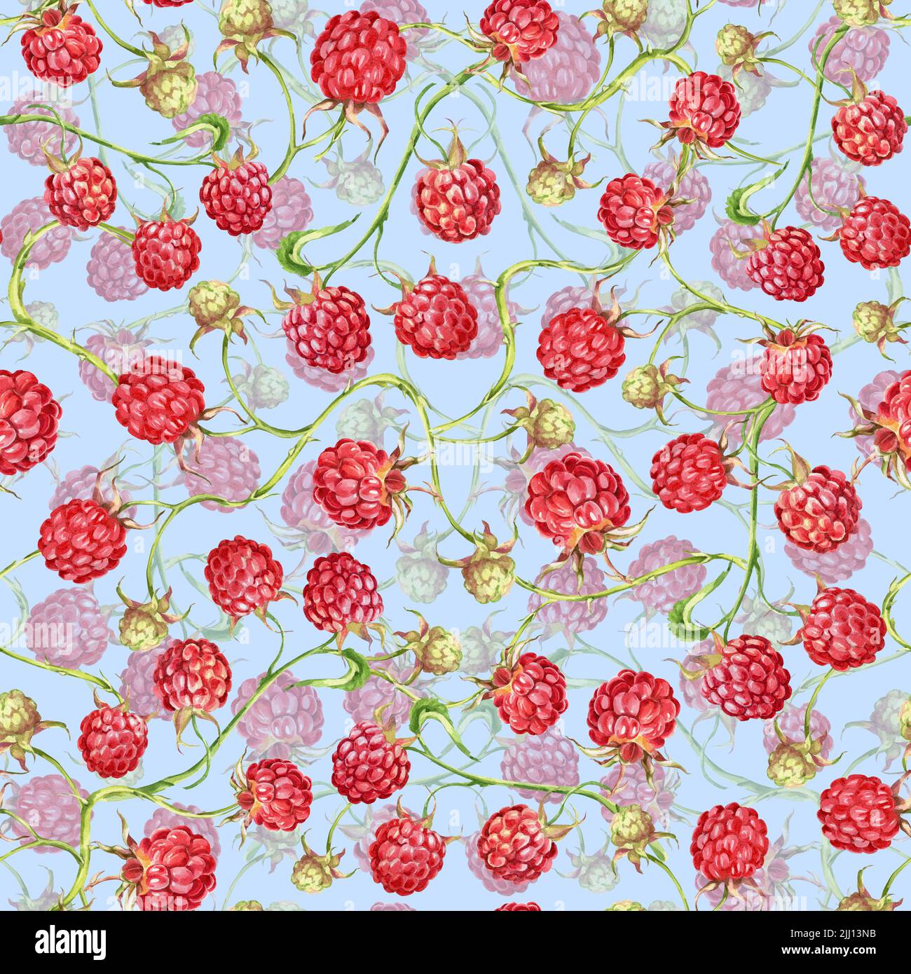 Botanical blackberry illustration hi-res stock photography and images ...