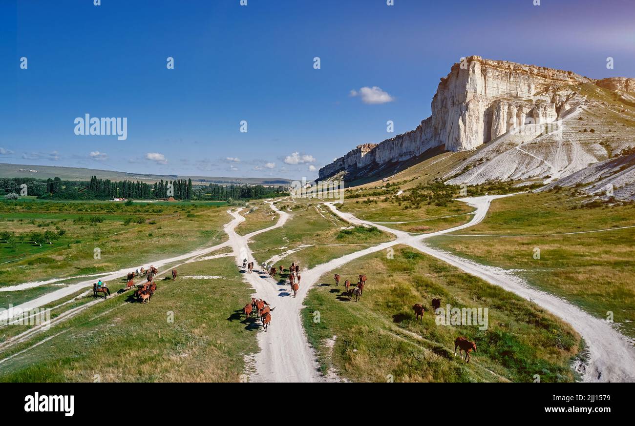 Horse galloping mountain hi-res stock photography and images - Alamy
