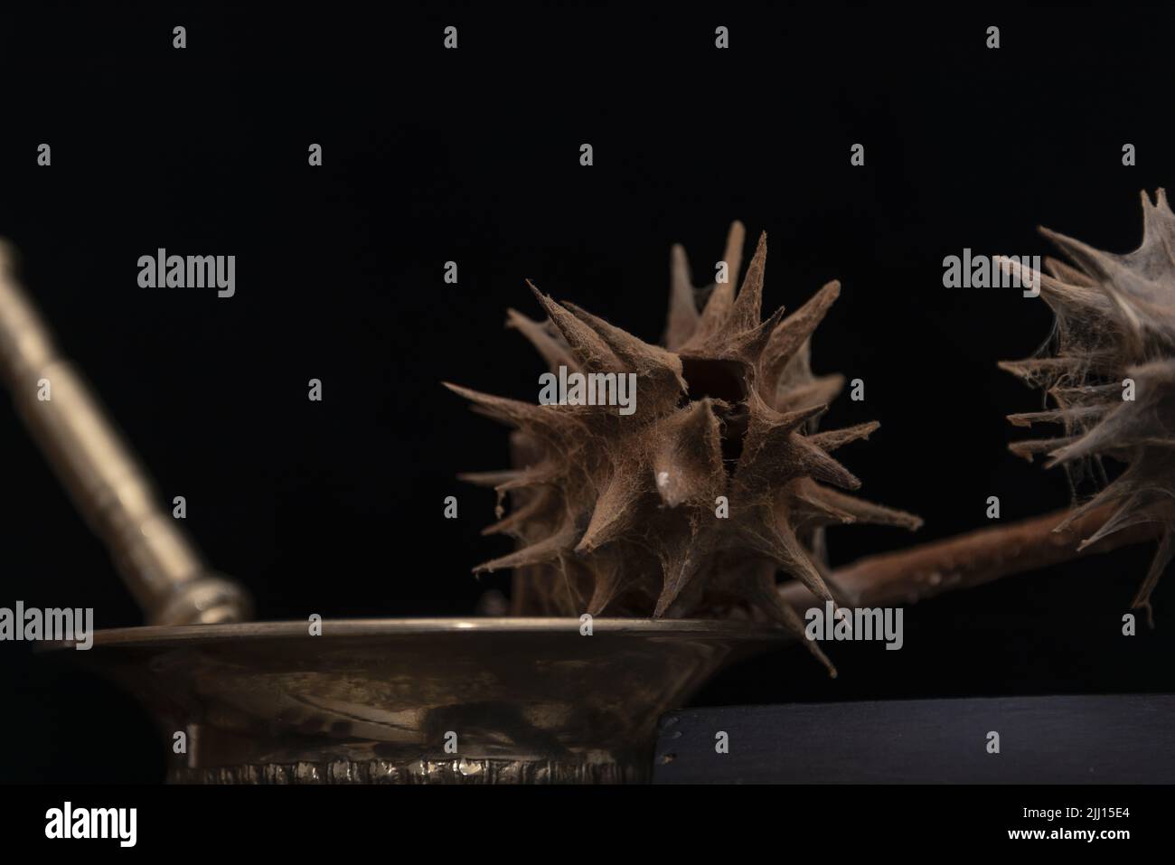 Witch laboratory with potion, elixirs, glass bottles, dry flowers ...