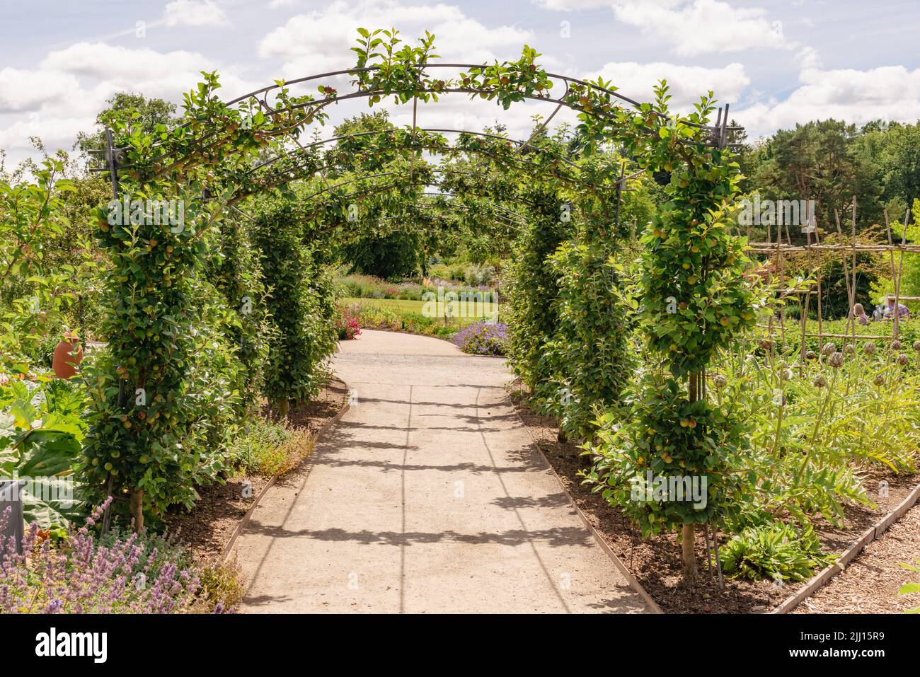 Fruit tree archway hi-res stock photography and images - Alamy