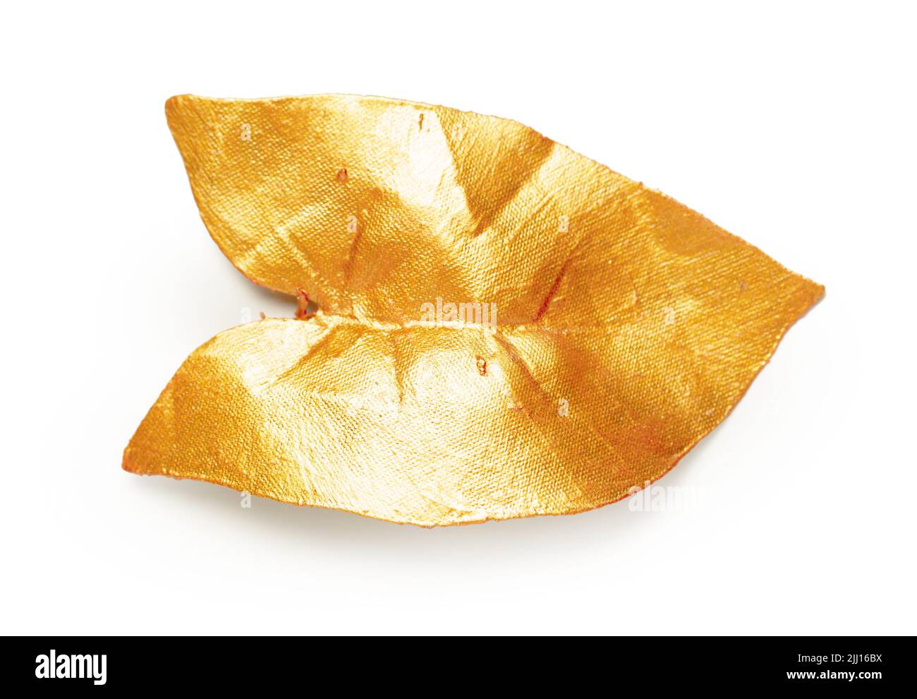 Summer composition tropical elements Cut Out Stock Images & Pictures ...