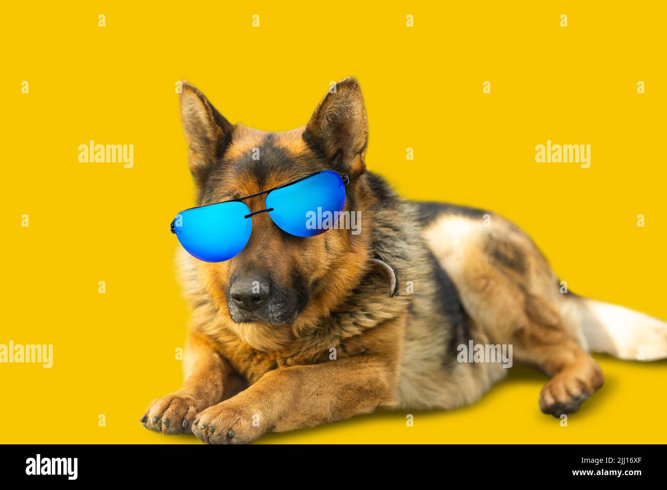 Nose guard sunglasses hi-res stock photography and images - Alamy
