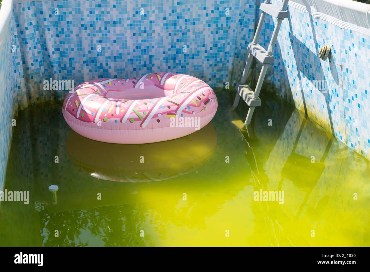 a very dirty pool in the garden Stock Photo - Alamy