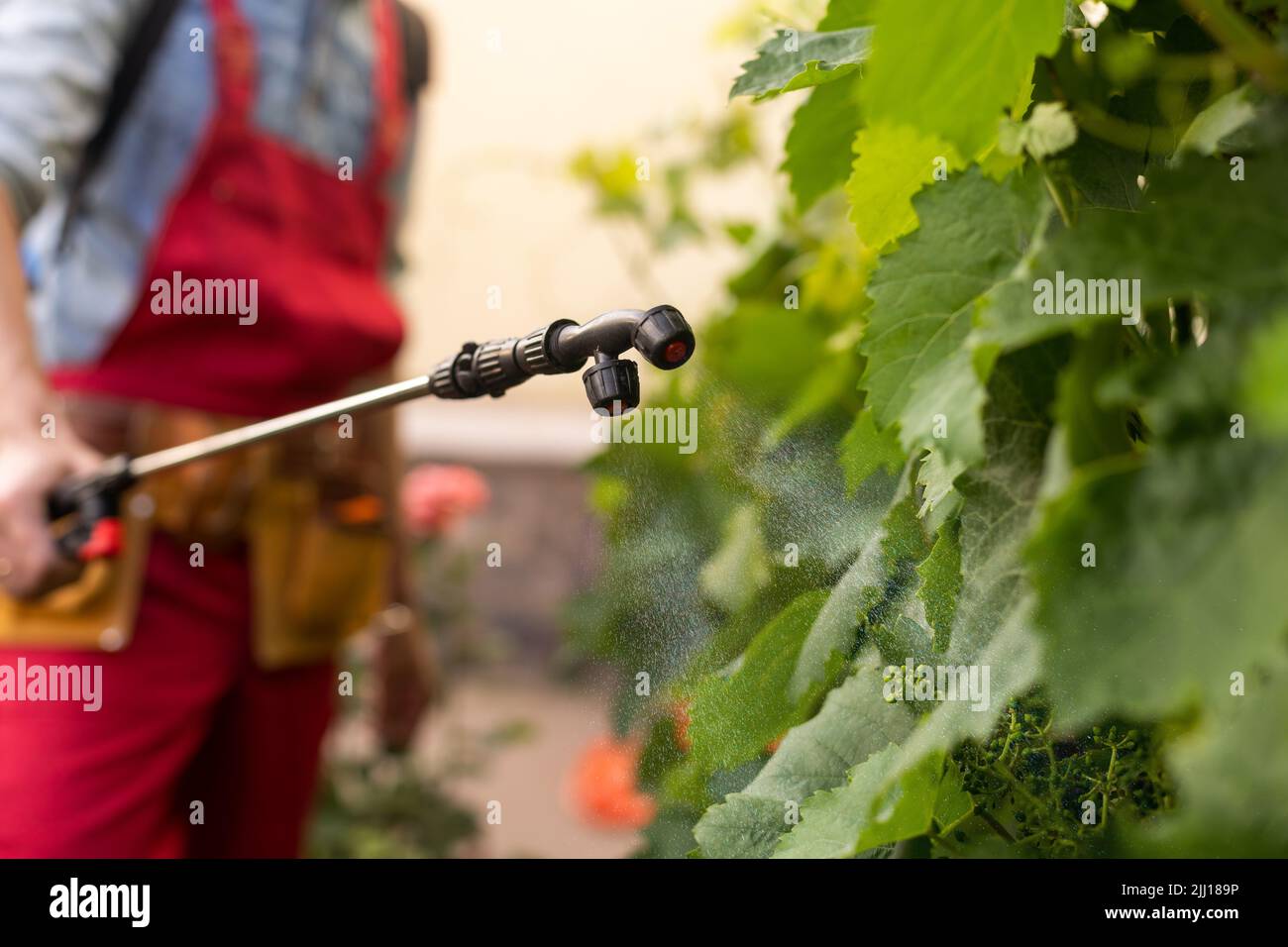 Farmer spraying weeds hi-res stock photography and images - Alamy
