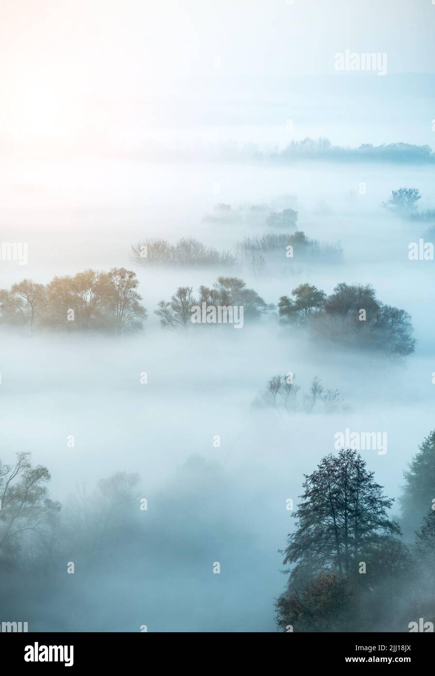 Landscape covered with mist Stock Photo - Alamy