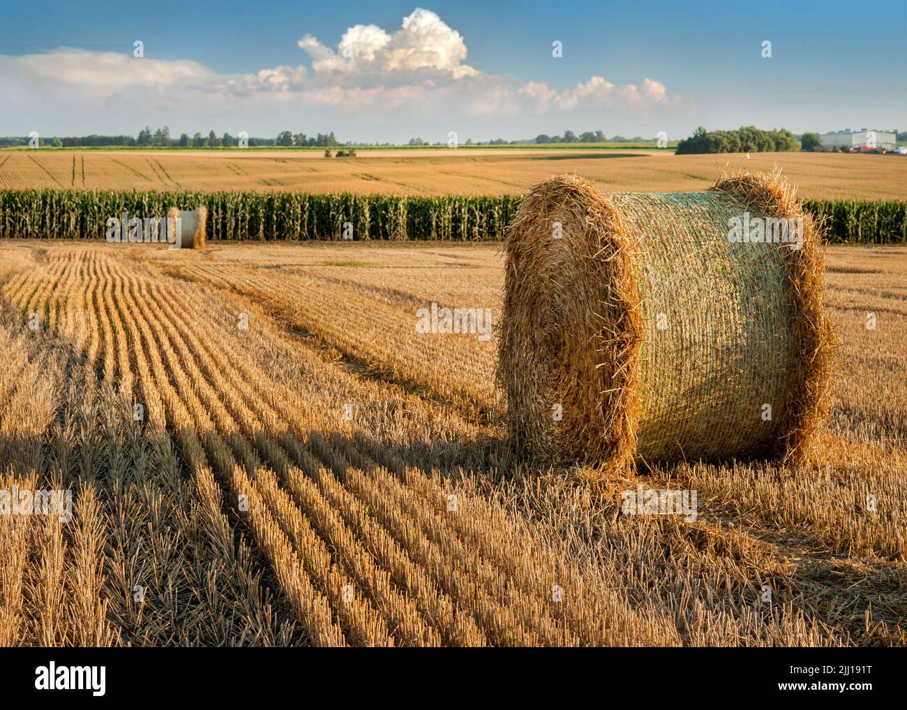 Big straw bale on stubble. lines on the stubble after the wheat ...