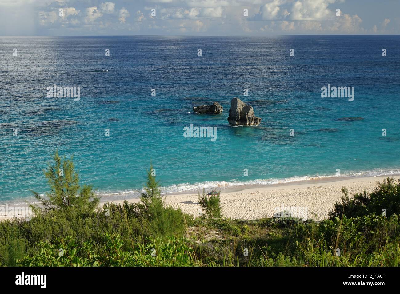 A tropical seashore with plants near the beach in Paget Parish, Bermuda ...